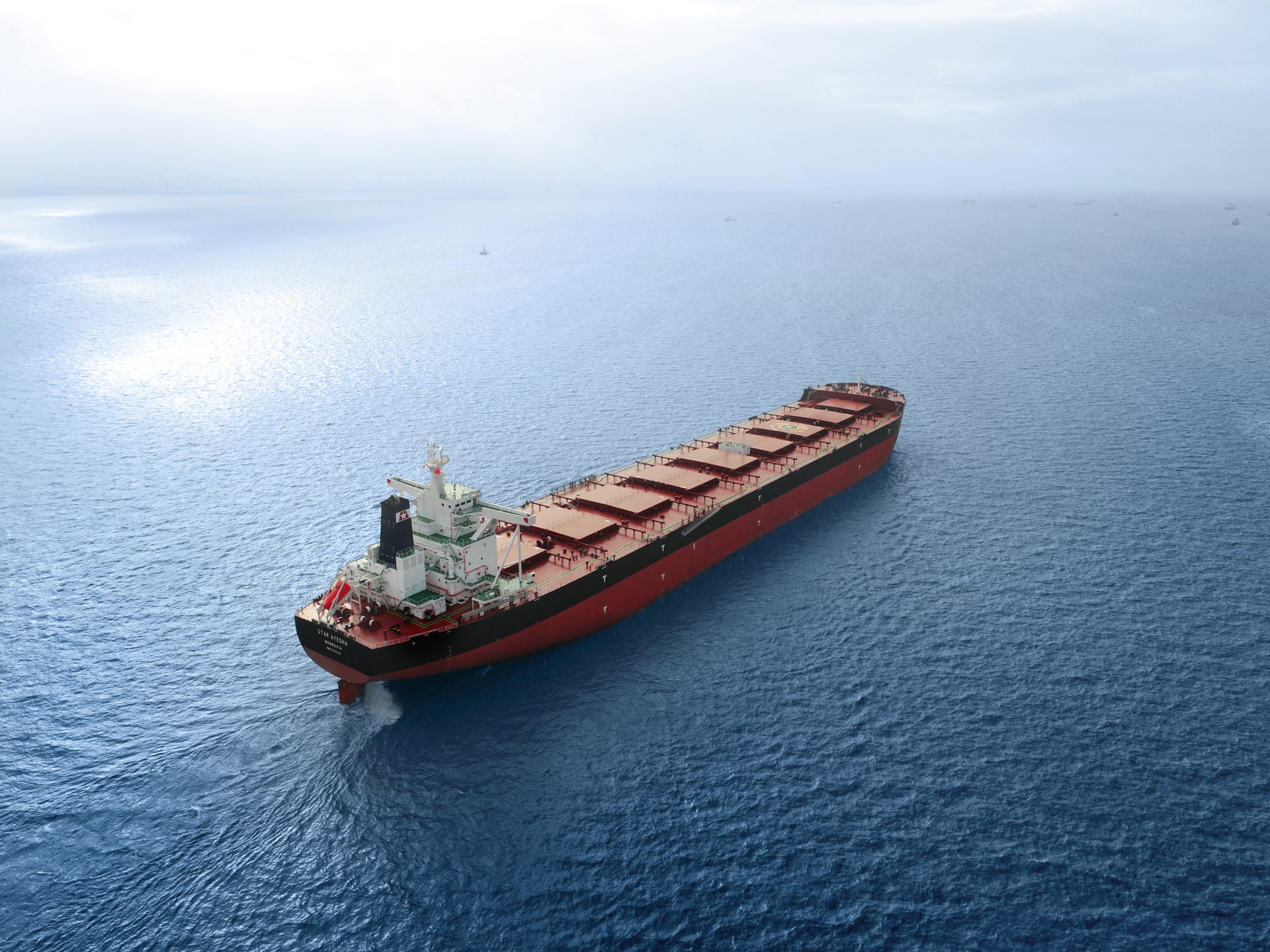 Bulk Carriers: Signals pointing to 2026 prospects